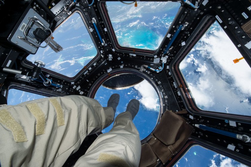 Brainbin (@Brainbin) | Twitter