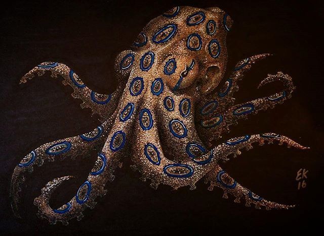 Blue Ringed Octopus Painting