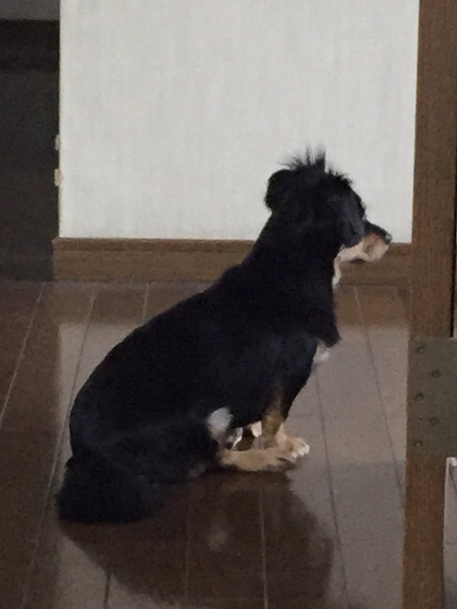 PPPD-746 그녀의 언니는 큰 가슴과 질내 사정 OK로 나를 유혹 마츠나가 사나 - MissAV