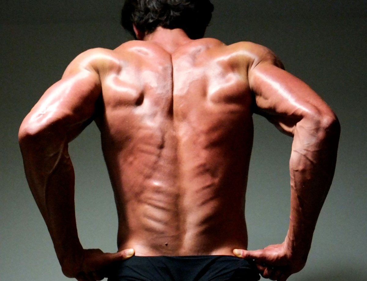 Ripped Lower Back