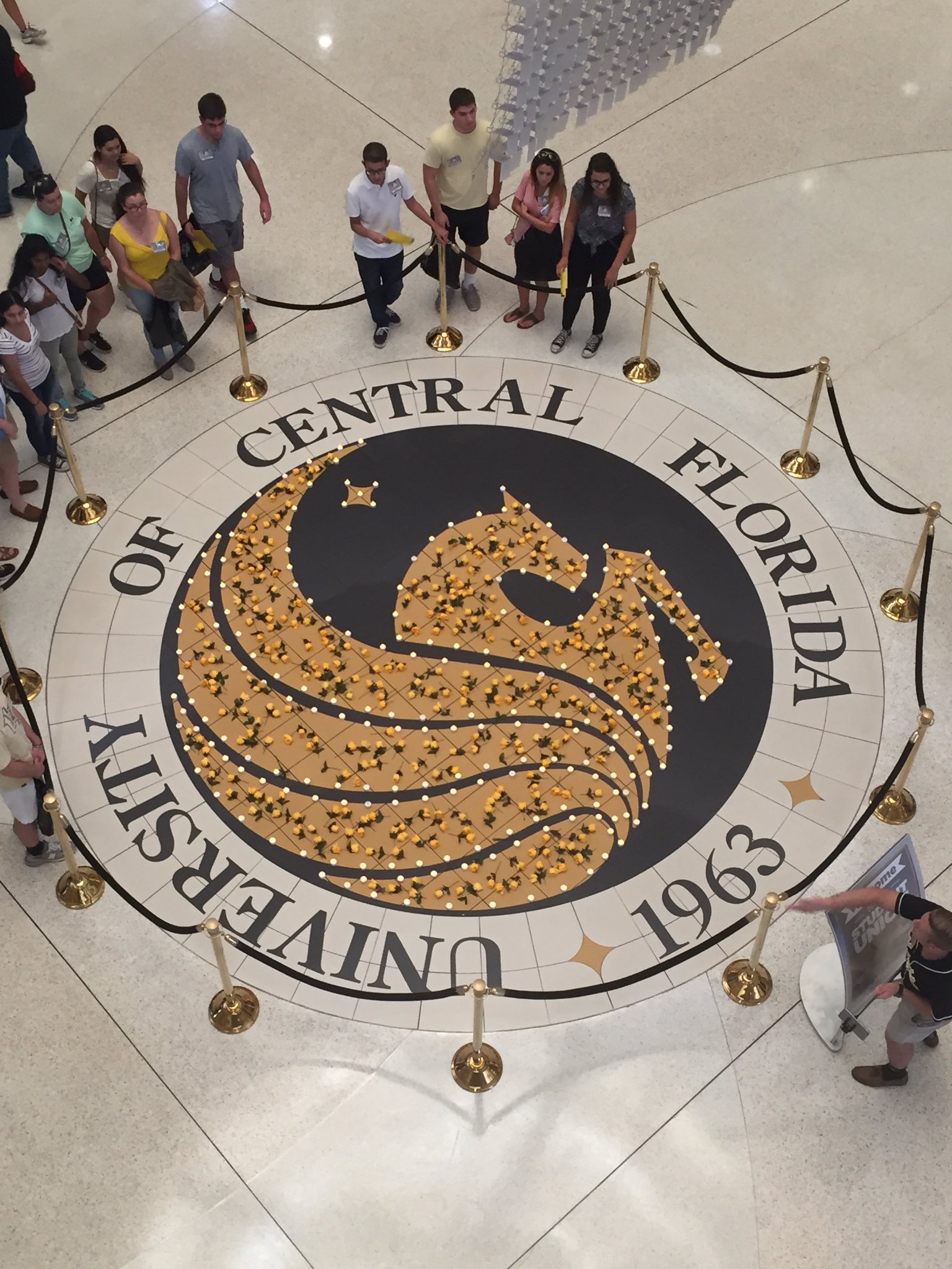 Ucf Pegasus Wallpaper UCF Knights Wallpapers UCF Athletics