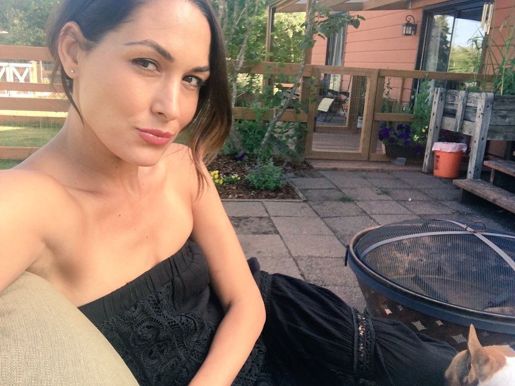 Brie Bella Twitter