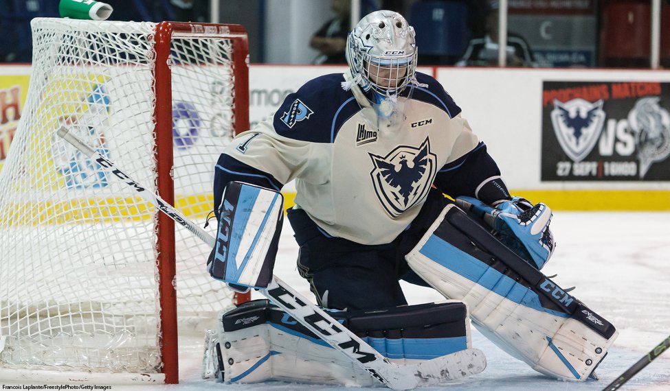 ICYMI: Today's @SportChek Prospect Profile was Sherbrooke goalie Evan ...
