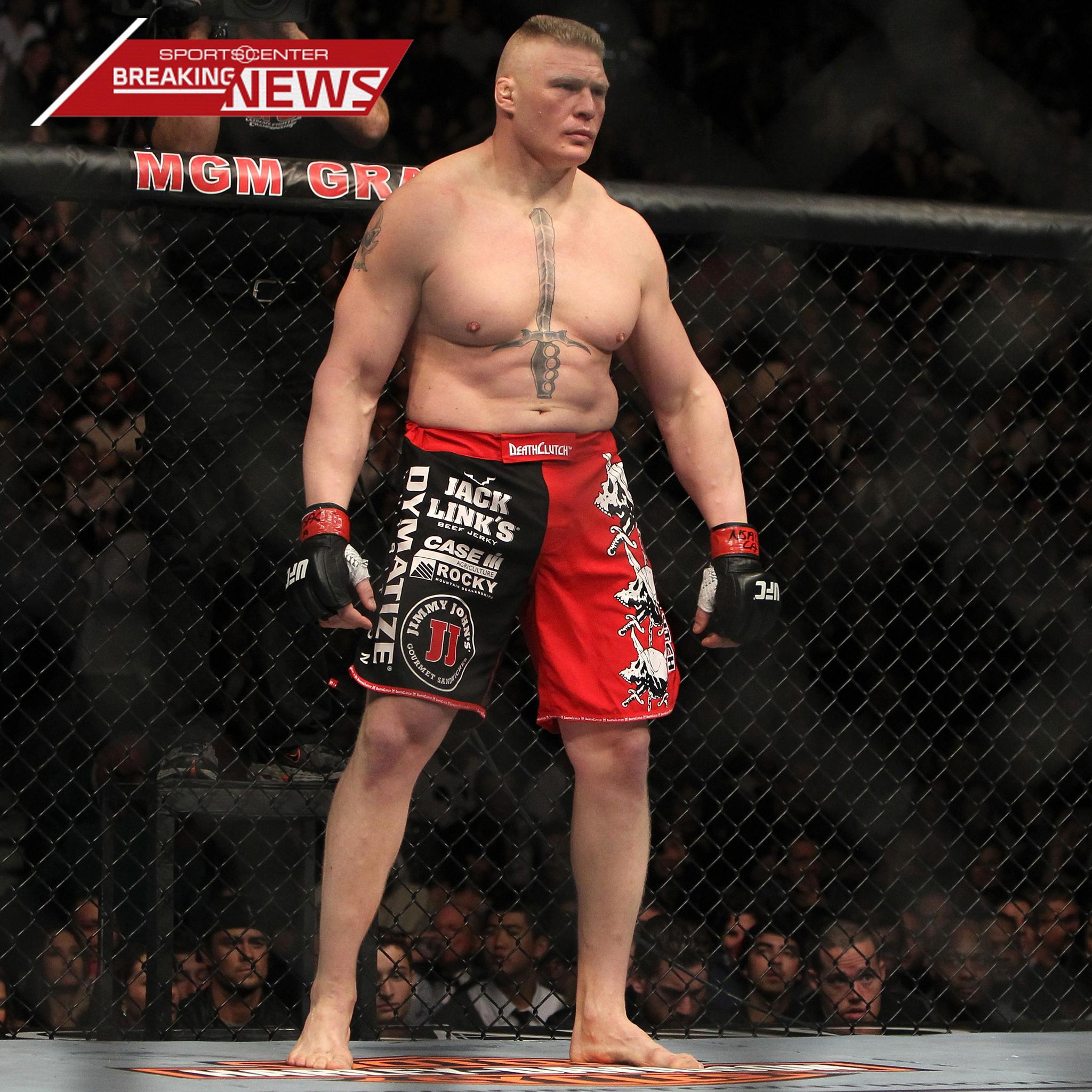 Brock Lesnar Ufc Shorts
