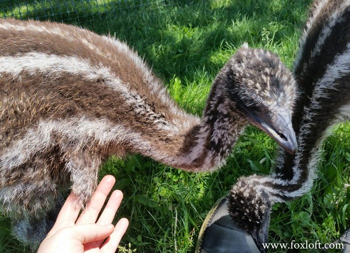 My Hero Academia - TV Tropes Forum