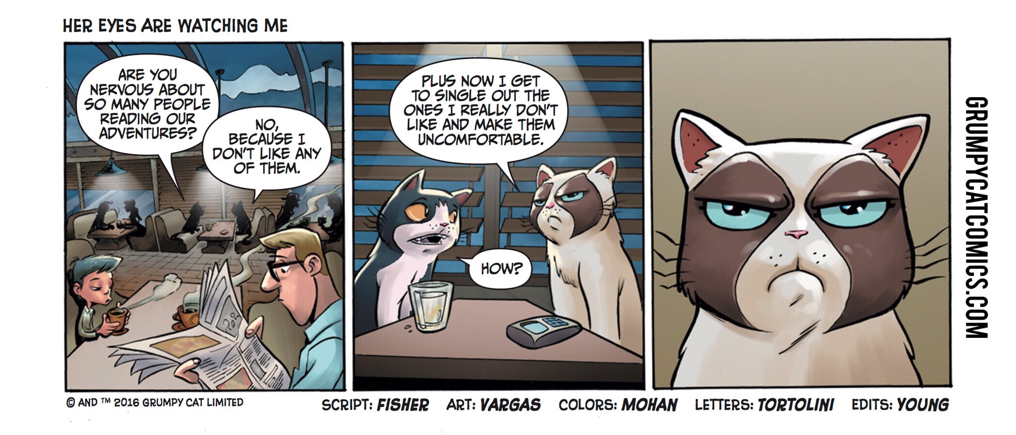 Grumpy Cat Reading A Book