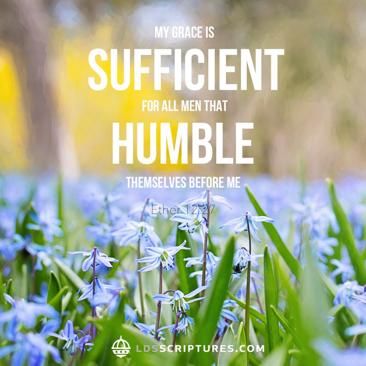 Phoenix YSA Stake (@PhoenixYSAstake) | Twitter