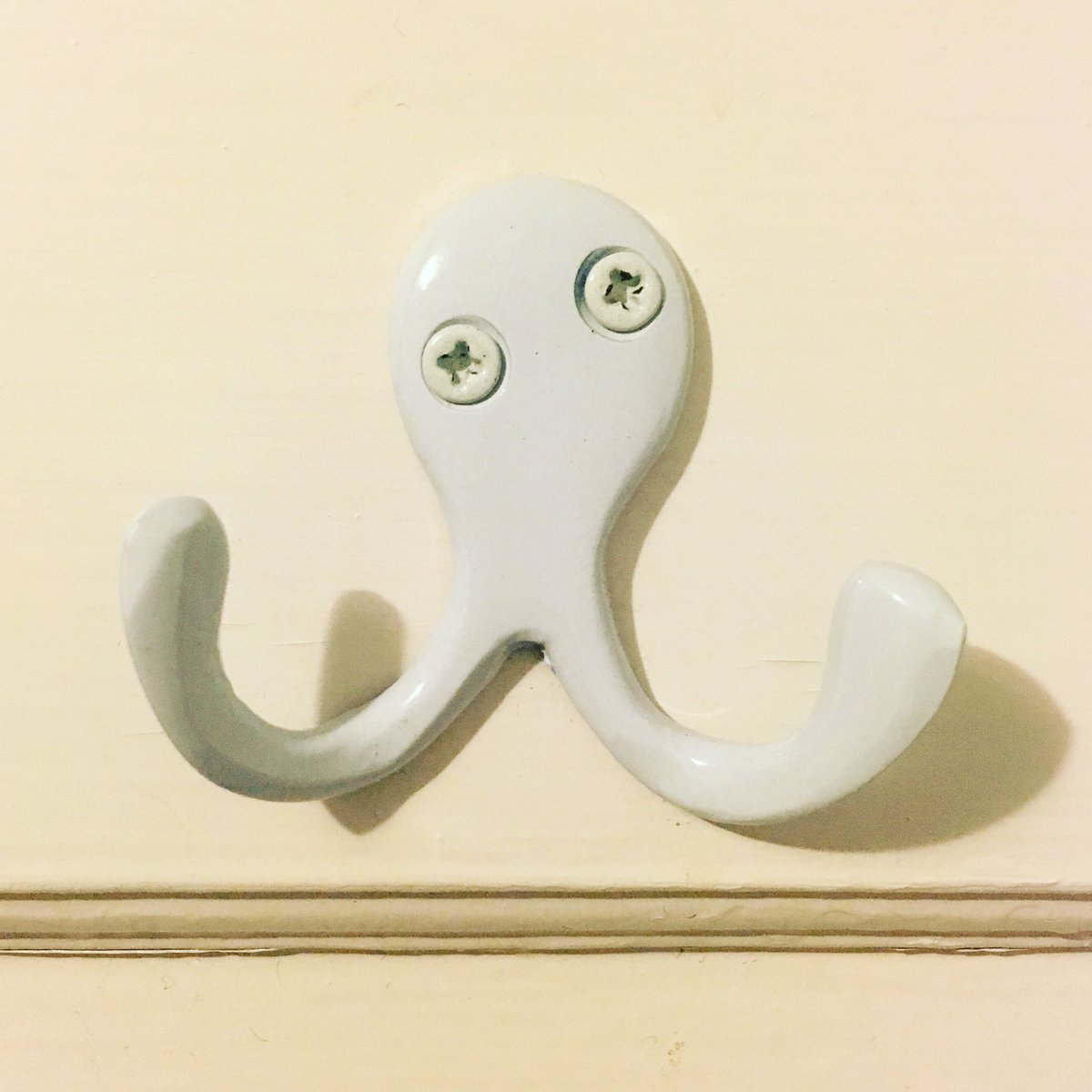 Millie Findlay (@millie_findlay) | Twitter