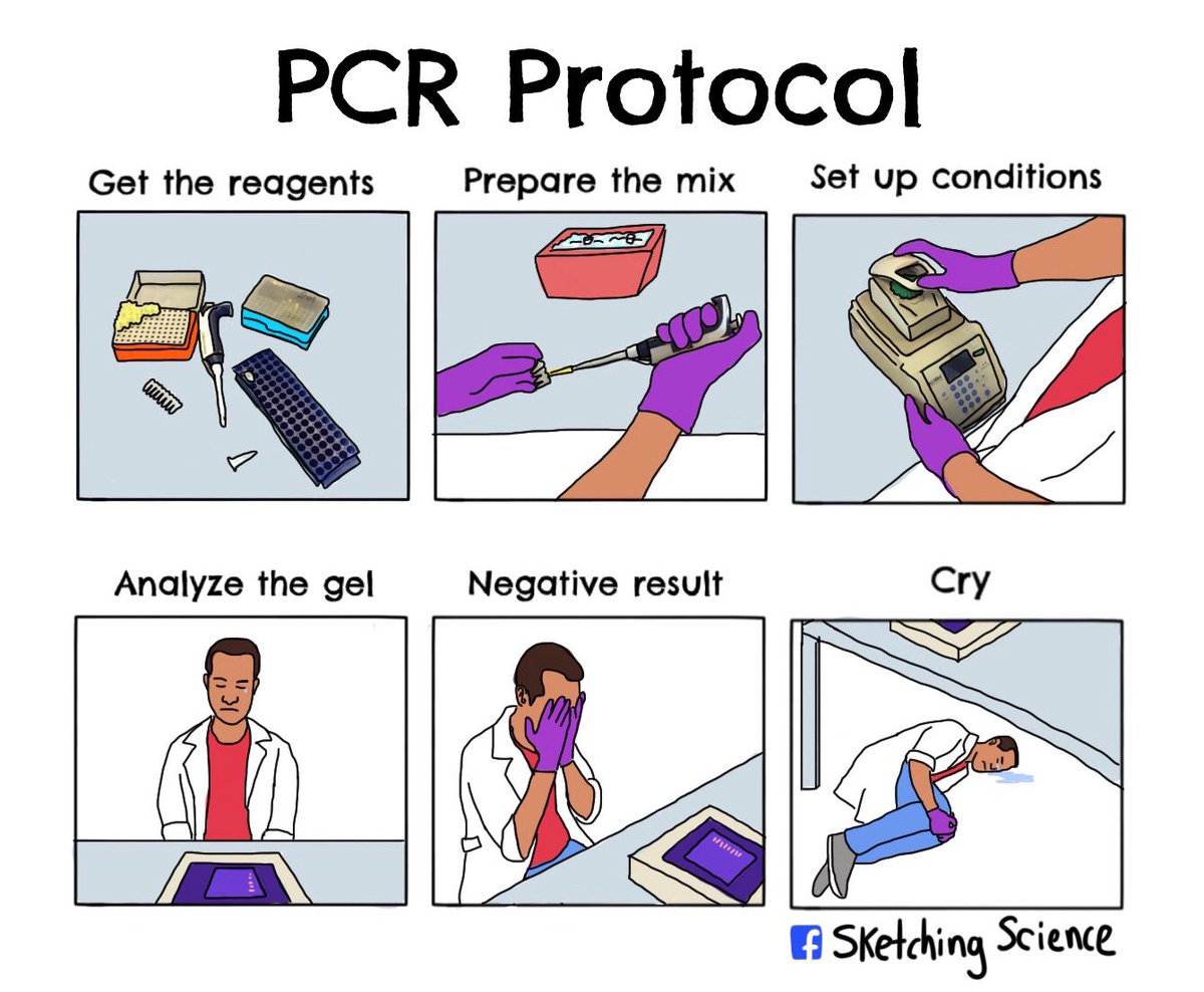 Pcr Cartoon