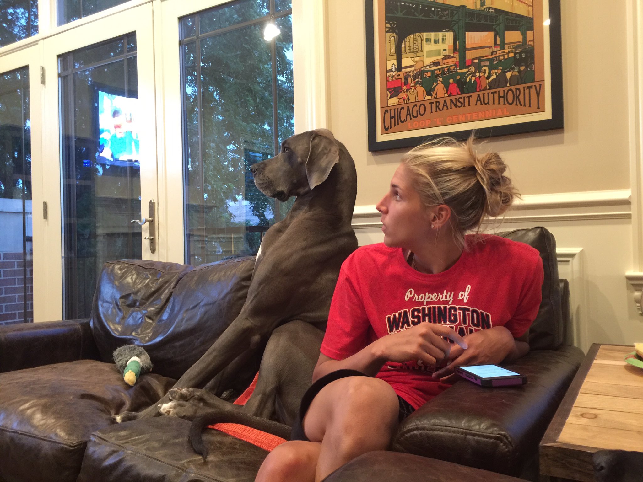 Elena Delle Donne Lang Elena Delle Donne Stats, Height, Weight,