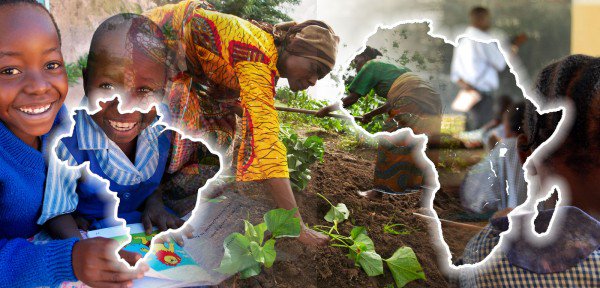 OPSA (@opsa_informe) | Twitter