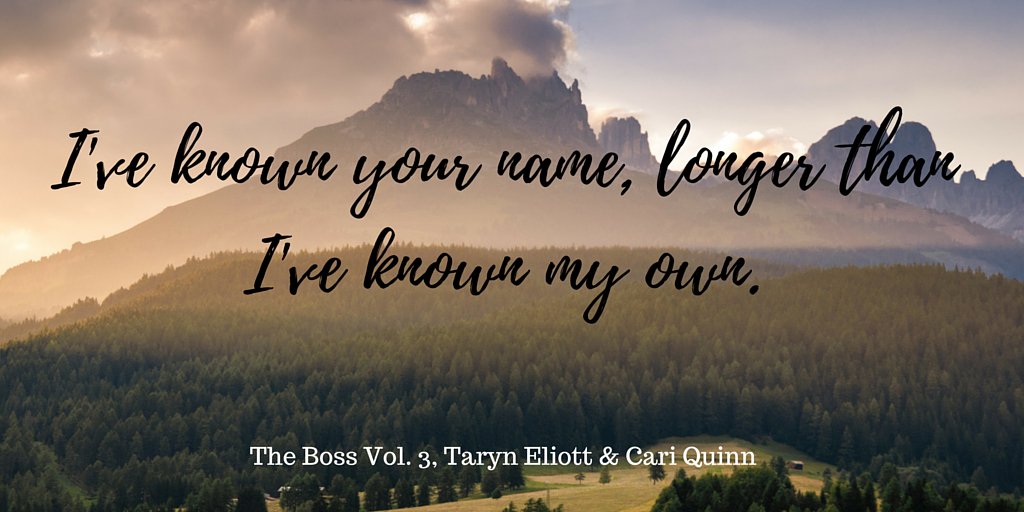 The Boss Vol. 3 by Taryn Elliott & Cari Quinn – Baca Baca by Sonobe