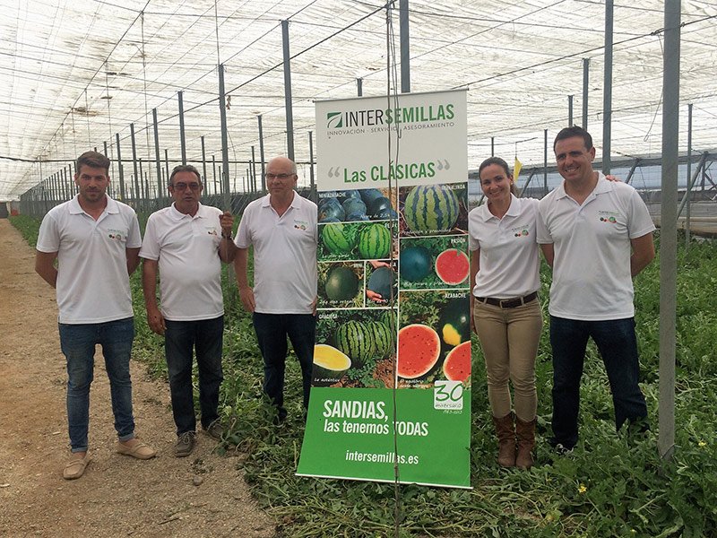 José Marín on Twitter: "#Intersemillas muestra su rico catálogo en #sandía para todo tipo de ...