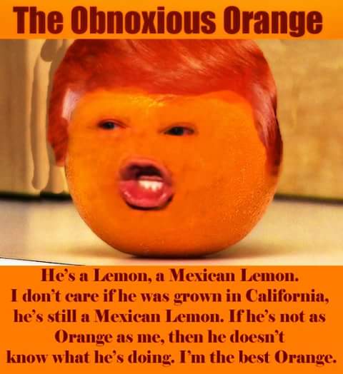 Progressive Man 📎 on Twitter: "President Obama slam dunks Donald Trump ...