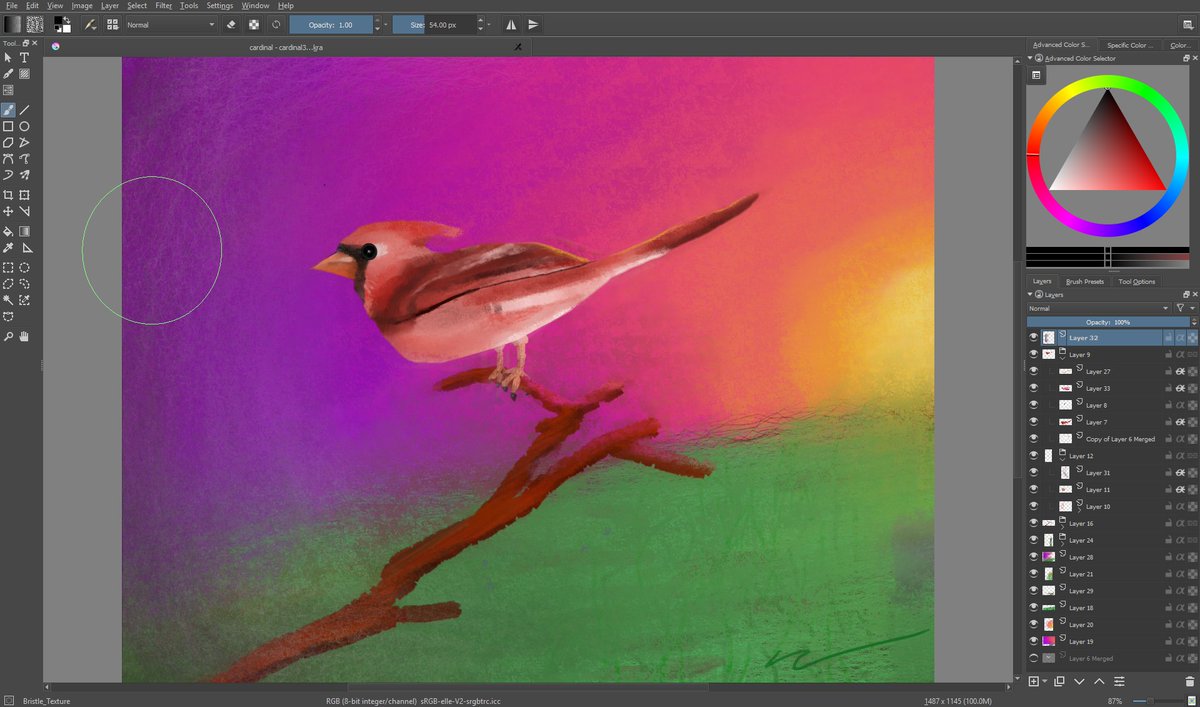 Corey Ryan Hanson (@coreyryanhanson) | Twitter