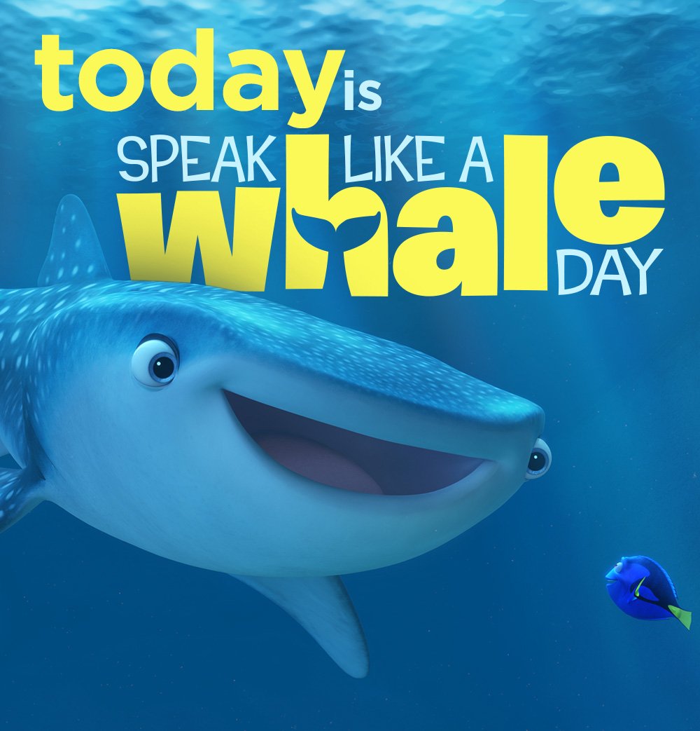 Dory Quotes Whale