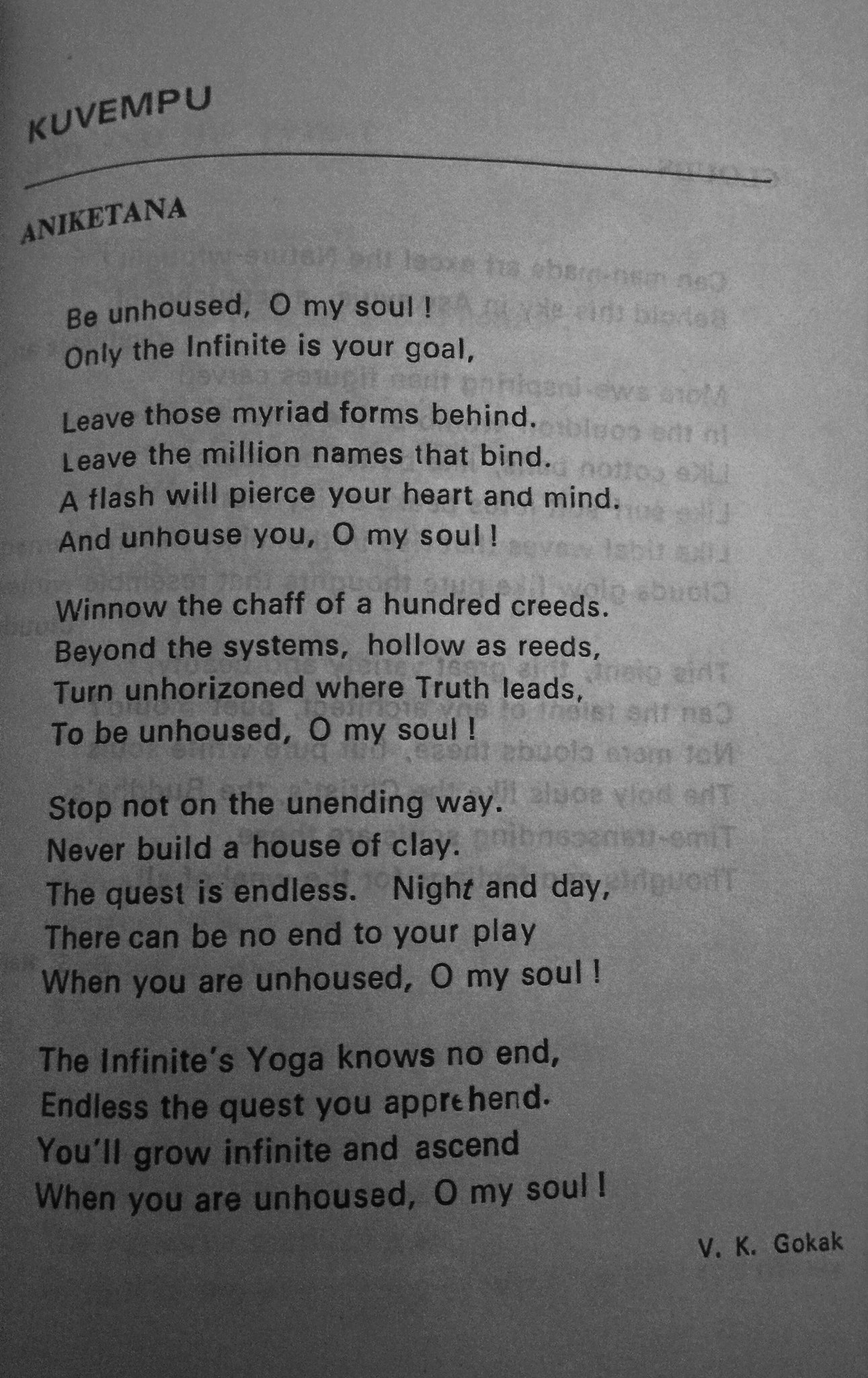 The Most Common Plant Defects And Their Causes –, 53% OFF