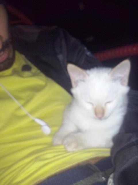 Dark of Angel 23 (@HellPlayBox) | Twitter