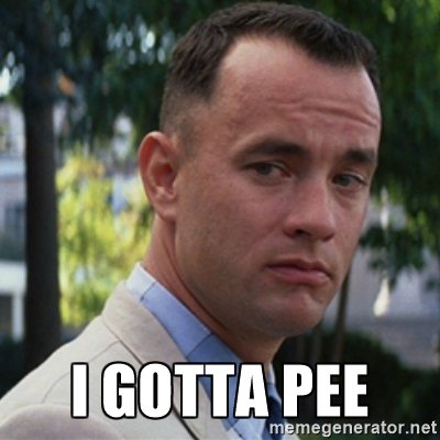 I Gotta Pee Memes Amazon.com: I Gotta Pee Funny Bathroom Humor Potty