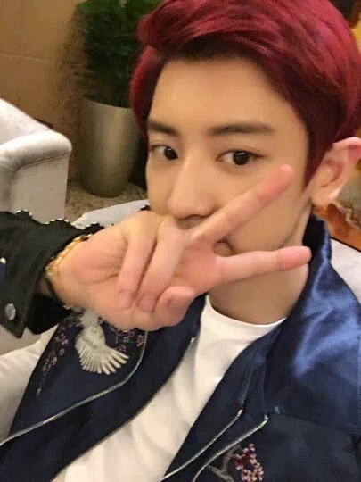 Chanyeol Selca