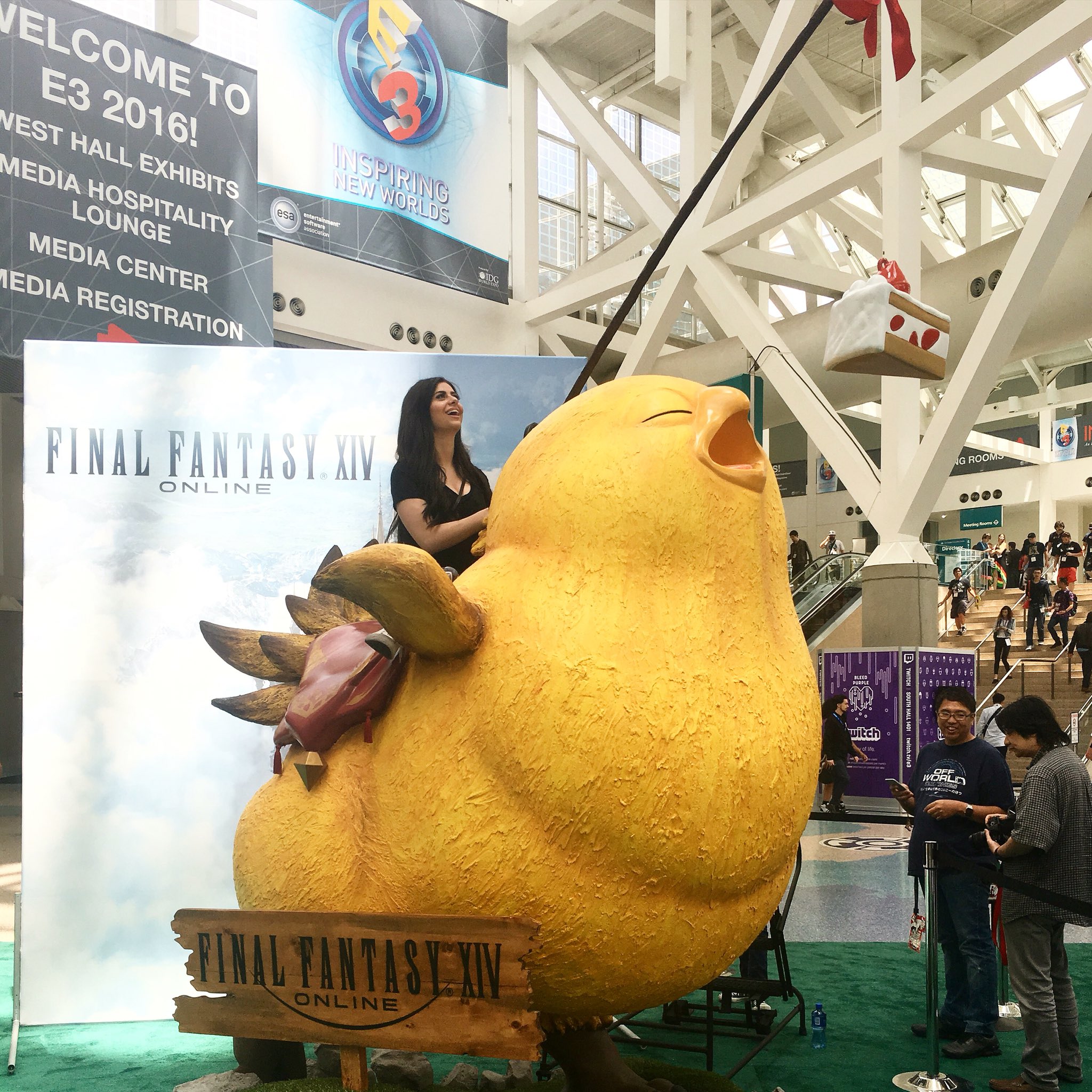 Ffxiv Chocobo Cosplay