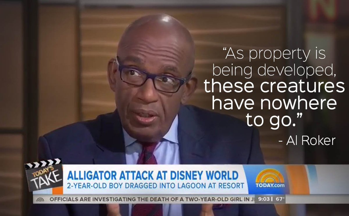 Aline Baldino (@AlineBal) | Twitter