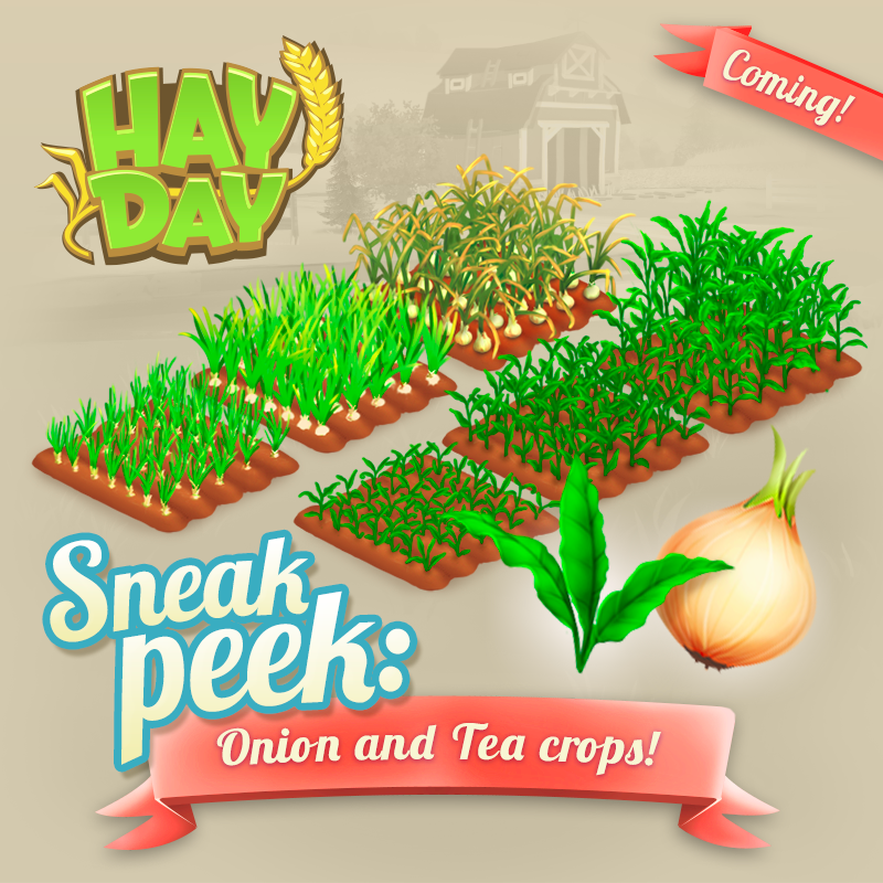 Hay Day Crops List
