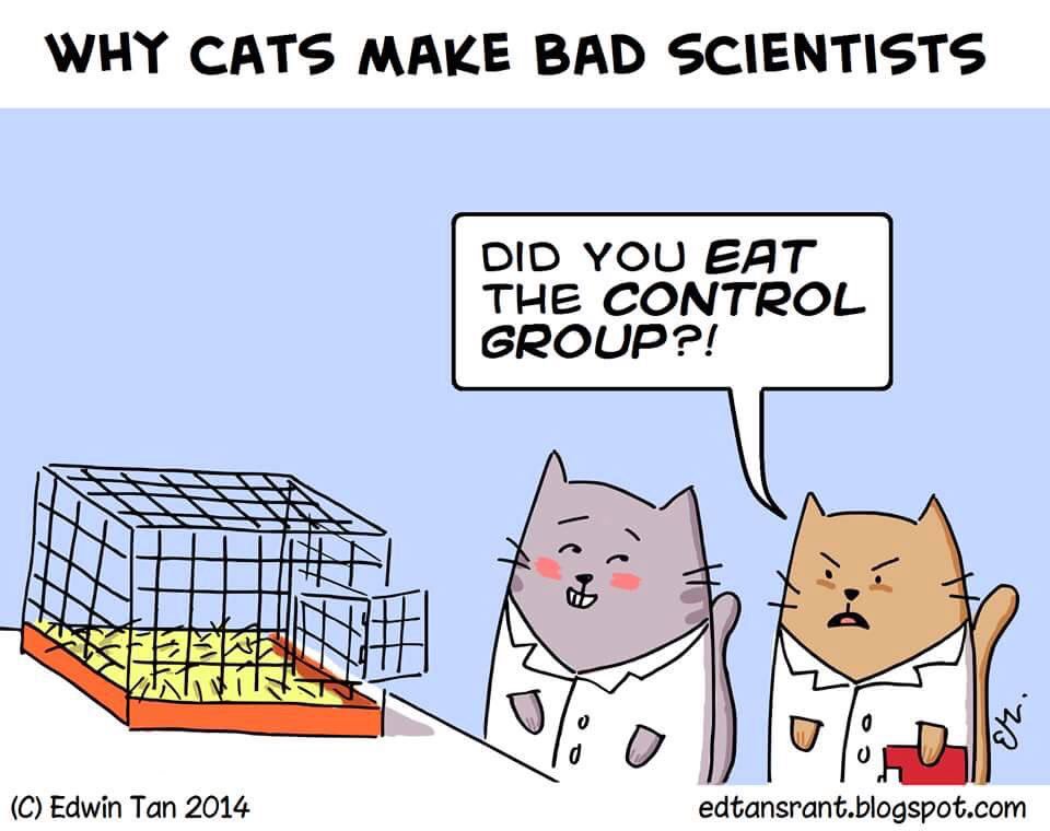 Science Jokes Cat