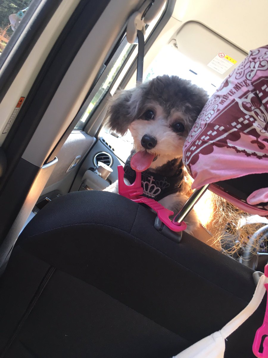 山P (@4_yamapi) | Twitter