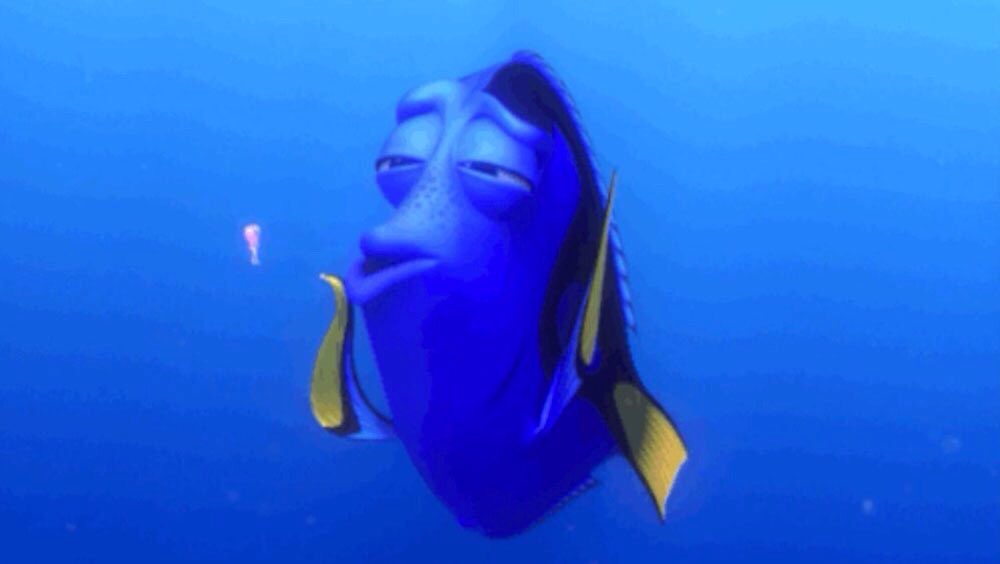 Finding Nemo Dory Squishy