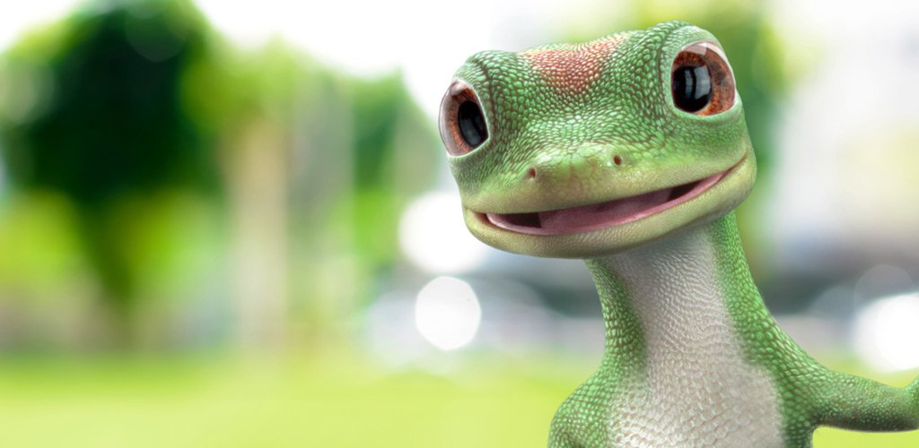 Geico Gecko Wallpaper