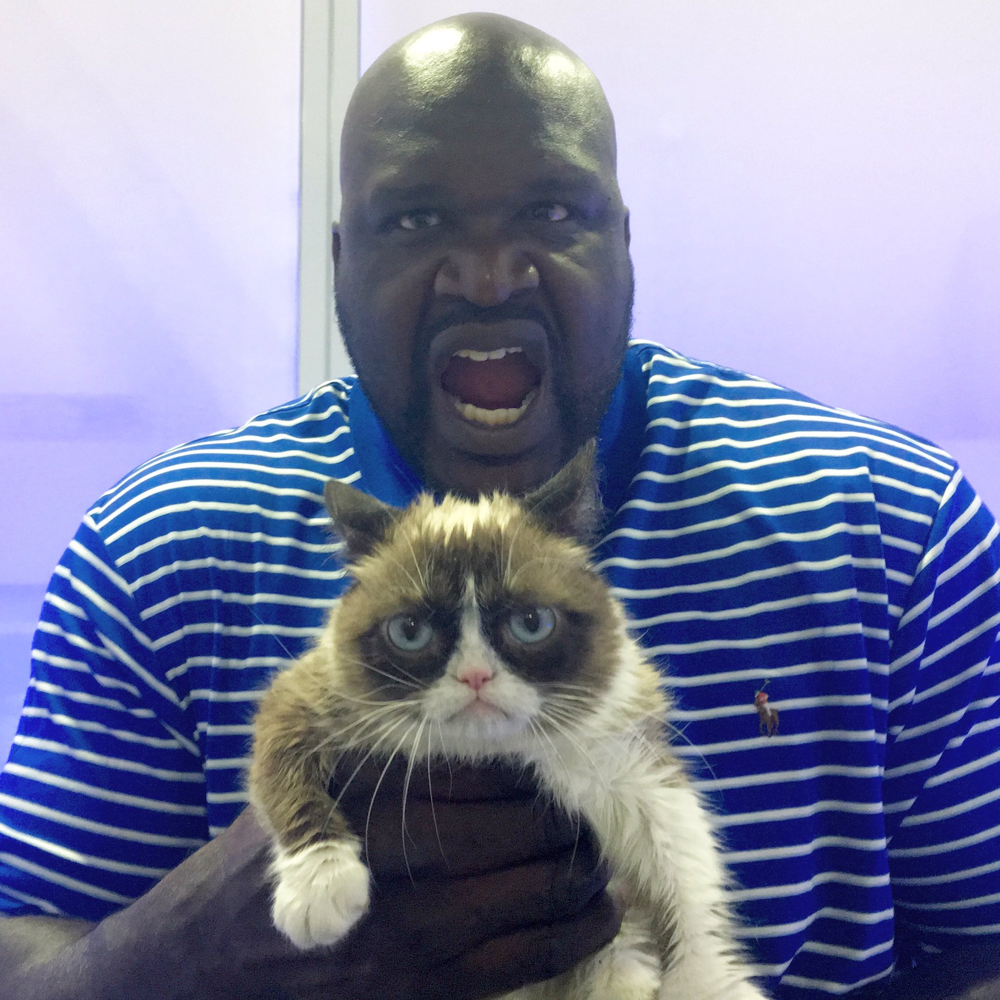 Cat Beard Grumpy Cat