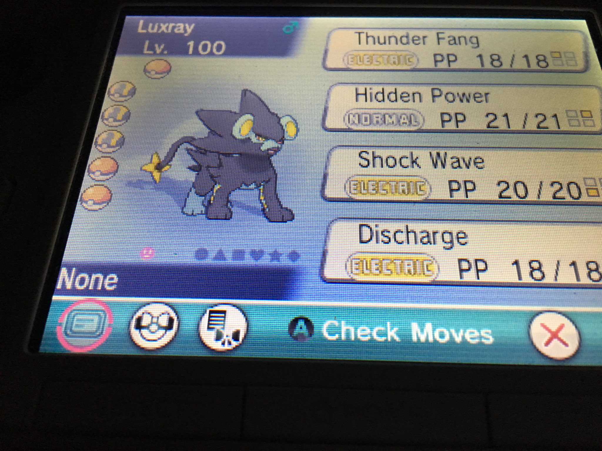 Shiny Luxray X And Y