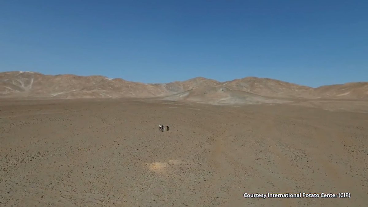 Space Spuds: NASA+Cipotato find Mars in Peru—& try to grow potatoes for ...