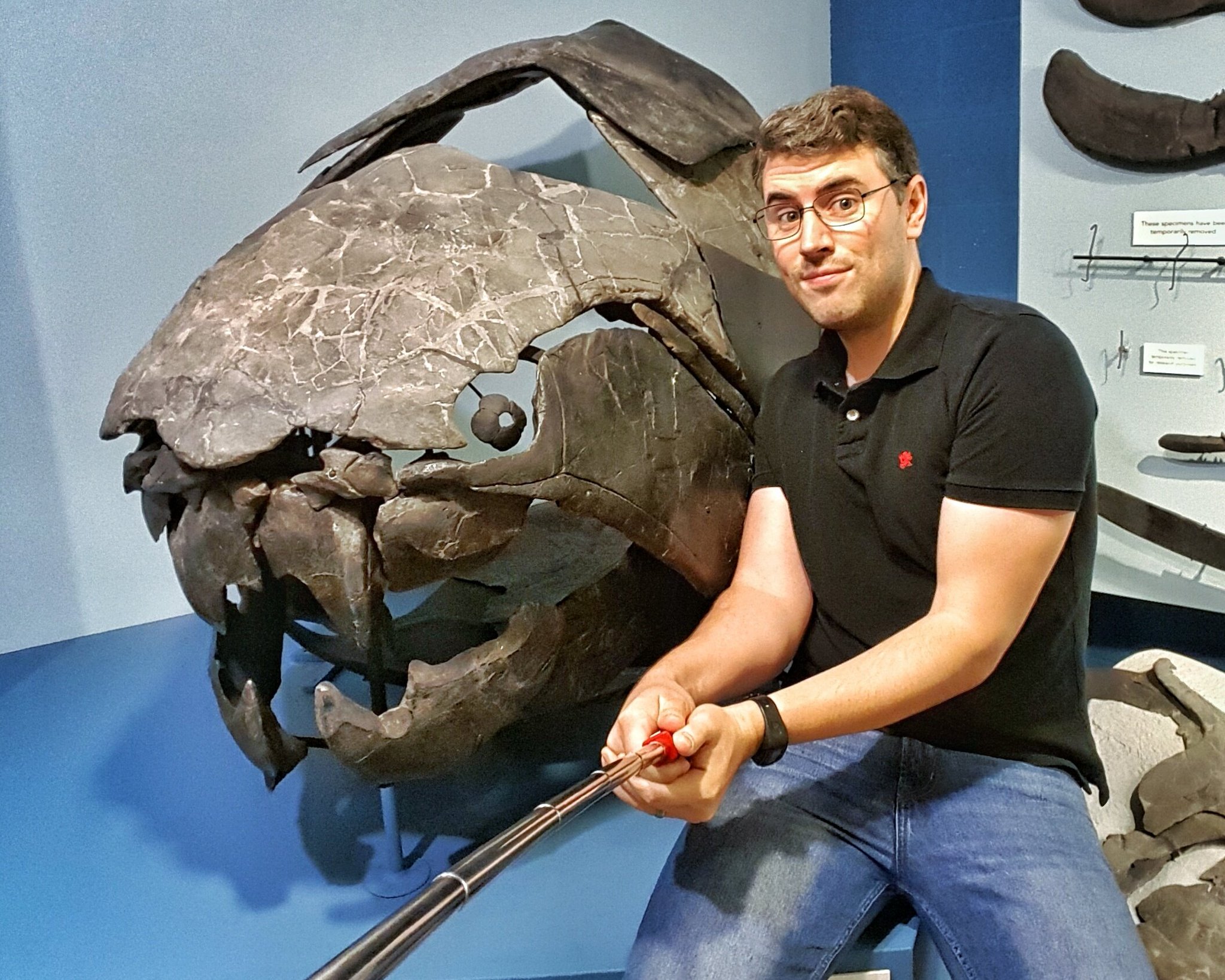 Dunkleosteus Skull