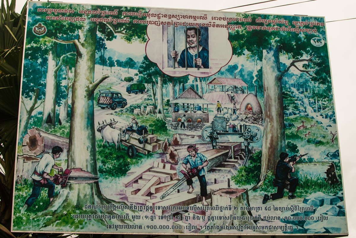 Illegal Logging Poster