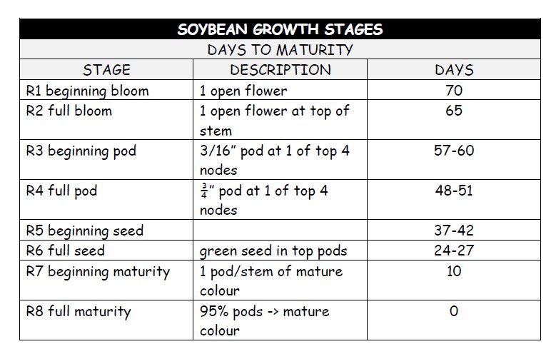 Soybean Growth Timeline