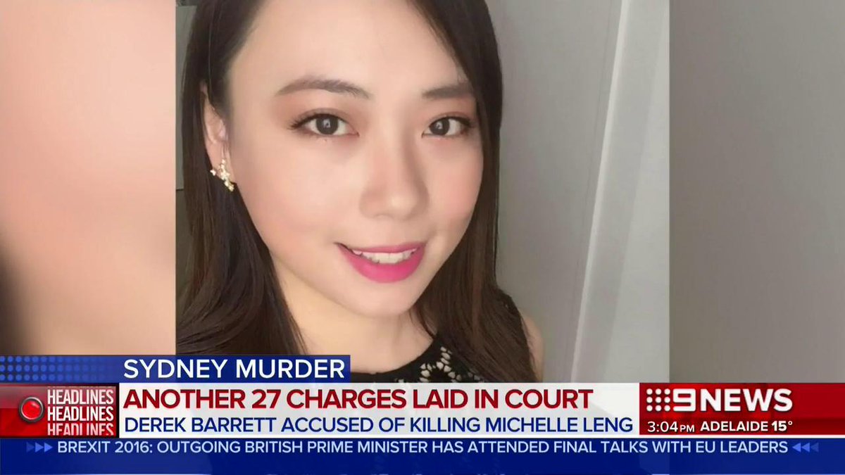 Additional 27 charges laid against a Sydney man, accused of stabbing ...