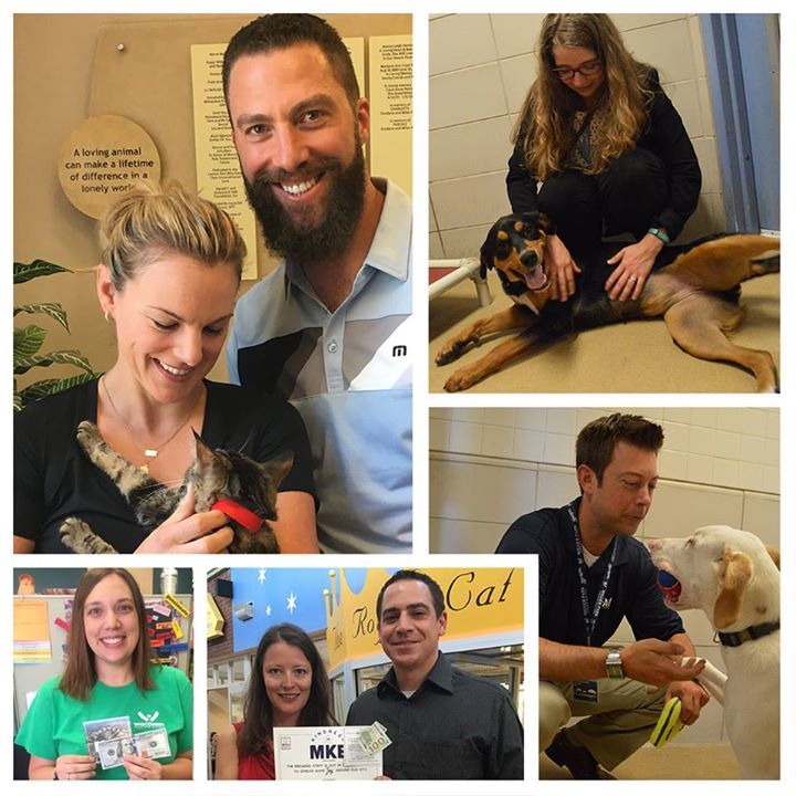 Chris Capuano Brewers