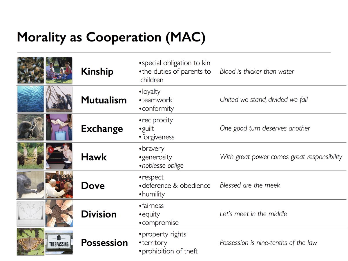 Different Types Of Morality The Borgen Project