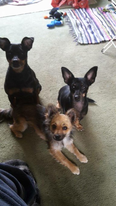 TW Pornstars - Catherine Duck BSc MBPsS. The latest pictures and videos ...