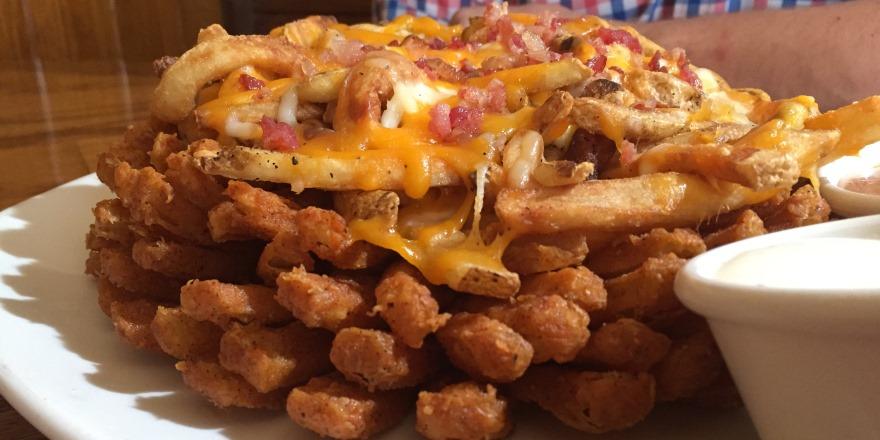Outback Cheese Fries Recipe