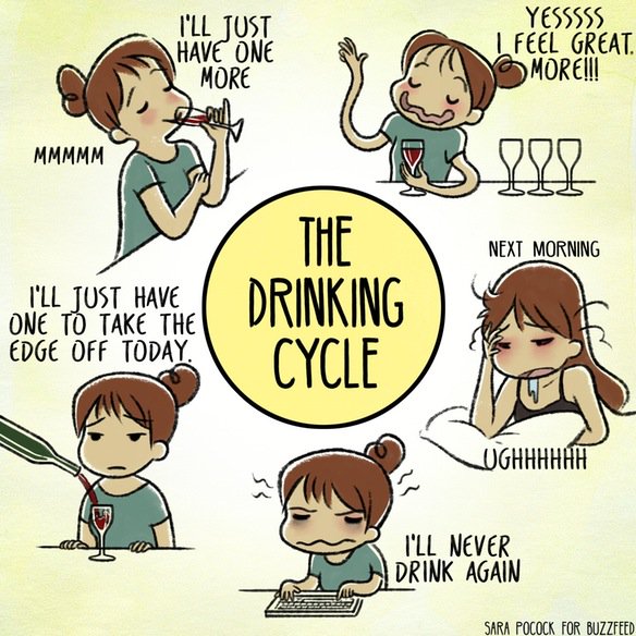 The Drinking Cycle | BuzzFeed | Scoopnest