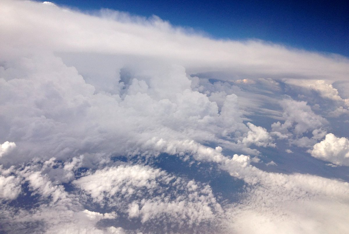 kaleb askew (@kalebaskew) | Twitter