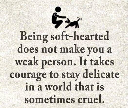 Soft People Quotes 100 Best Loyalty Quotes About Trust And Devotion