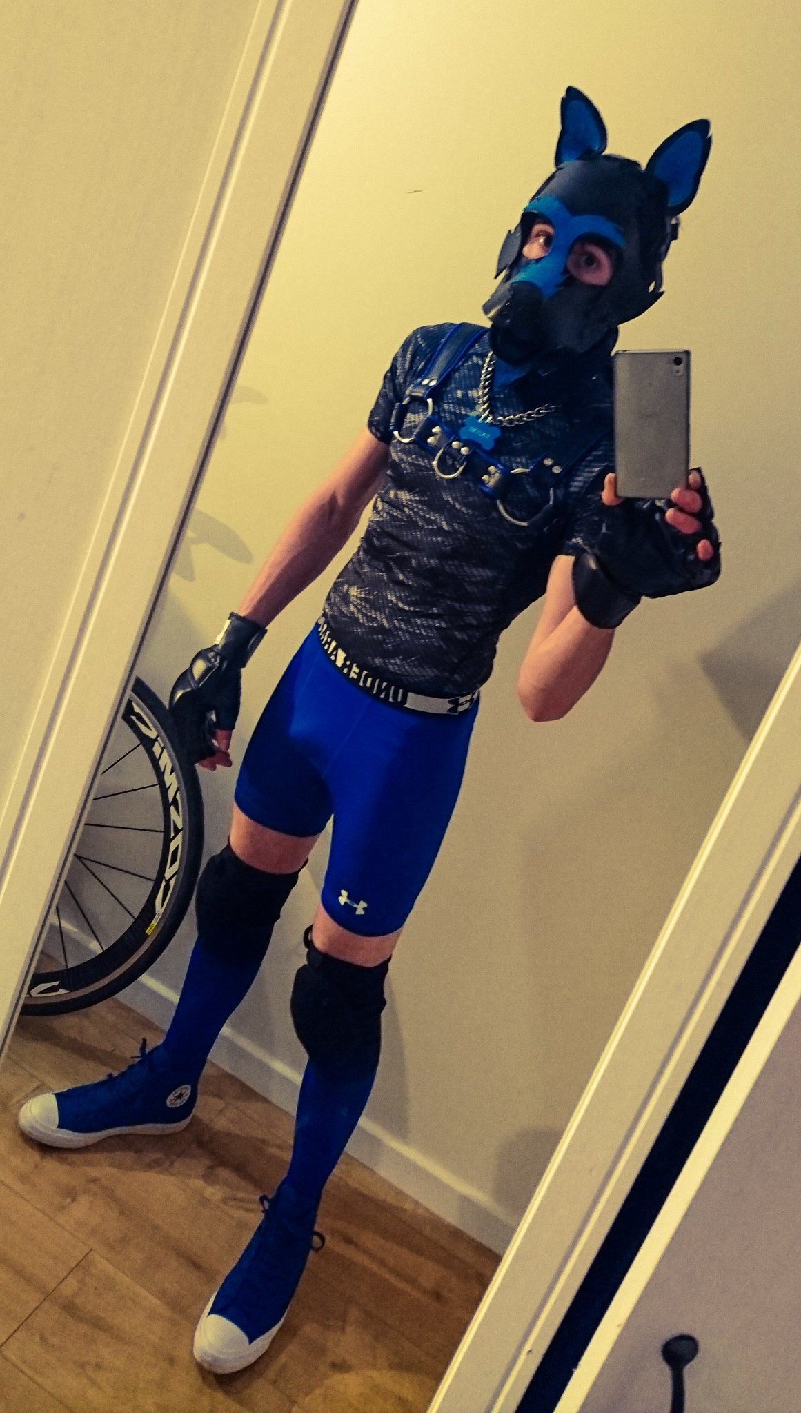 Stevo on Twitter: "Wruff! https://t.co/AZoMEoZPCW" / Twitter