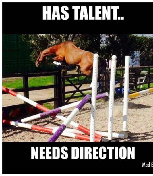 Horse Jumping Memes