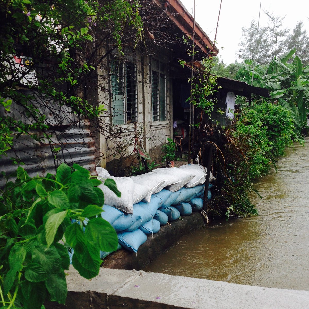 Kahit na may mga sandbag na sa gilid ng creek, pumasok pa rin ang baha ... Kahit na may mga sandbag na sa gilid ng creek, pumasok pa rin ang baha ...