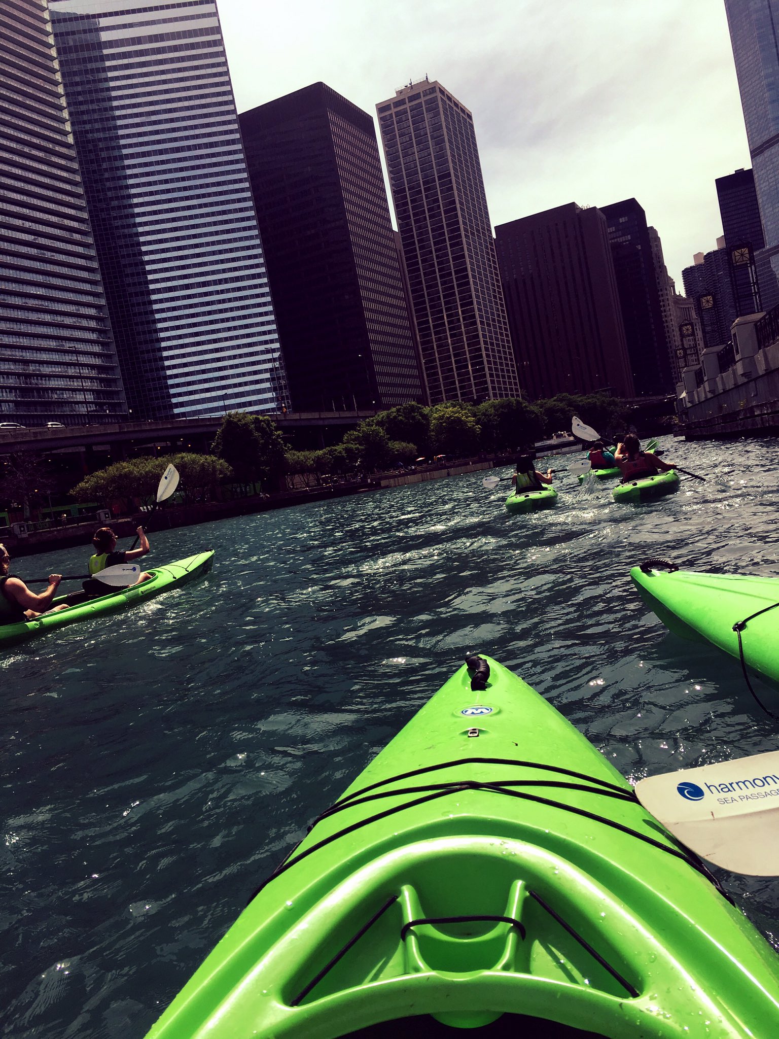 TW Pornstars - 1 pic. *AllieBay*. Twitter. Kayaked in Chicago and hung ...