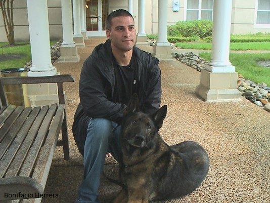 Former Navy dog handler reunited with his retired dog just in time for ...